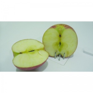 Food Workstation and Chopping Board - MedicalSupplies.co.uk