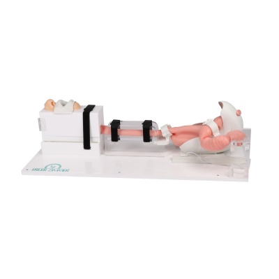 Training Manikins - MedicalSupplies.co.uk