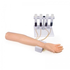 IV Infusion and Injection Training Arm - MedicalSupplies.co.uk