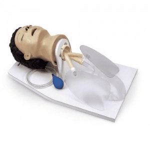 Adult Airway Management Trainer with Stand - MedicalSupplies.co.uk