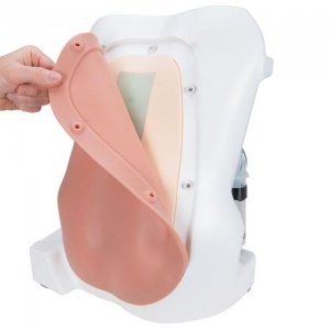 Epidural and Spinal Injection Simulator - MedicalSupplies.co.uk