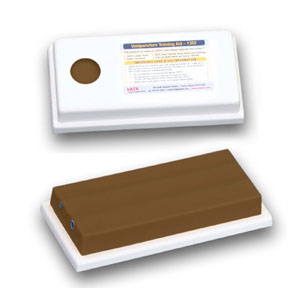 Four Vein and Two Vein Venipuncture Training Aid - MedicalSupplies.co.uk