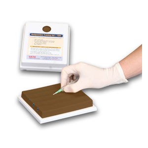 Four Vein and Two Vein Venipuncture Training Aid - MedicalSupplies.co.uk