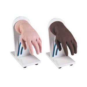 I.V. Injection Hand - MedicalSupplies.co.uk