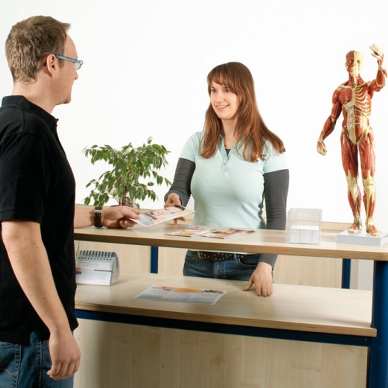 Anatomical Muscle Model (1:3 Scale) - MedicalSupplies.co.uk