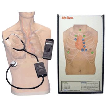 Auscultation Trainer, Board & Scope - MedicalSupplies.co.uk