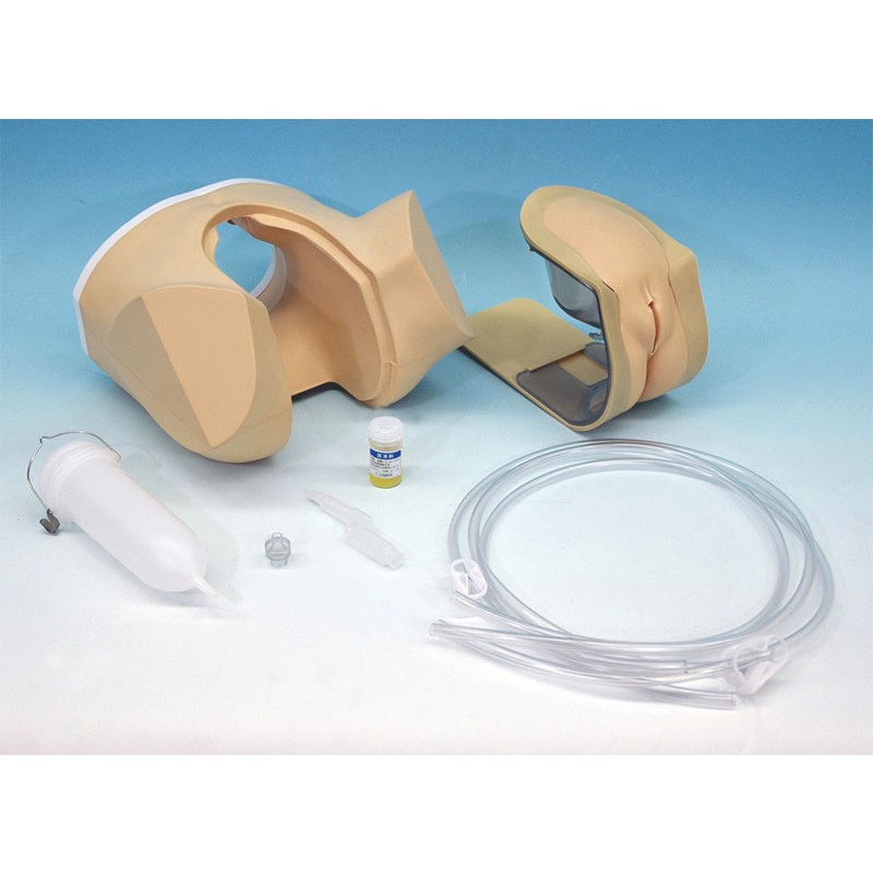 Female Catheterisation and Enema Simulator - MedicalSupplies.co.uk