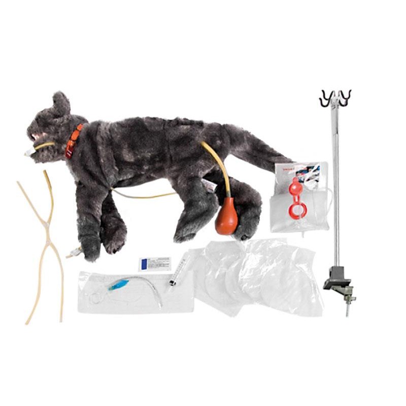 Fluffy Full-Sized Cat CPR Manikin - MedicalSupplies.co.uk