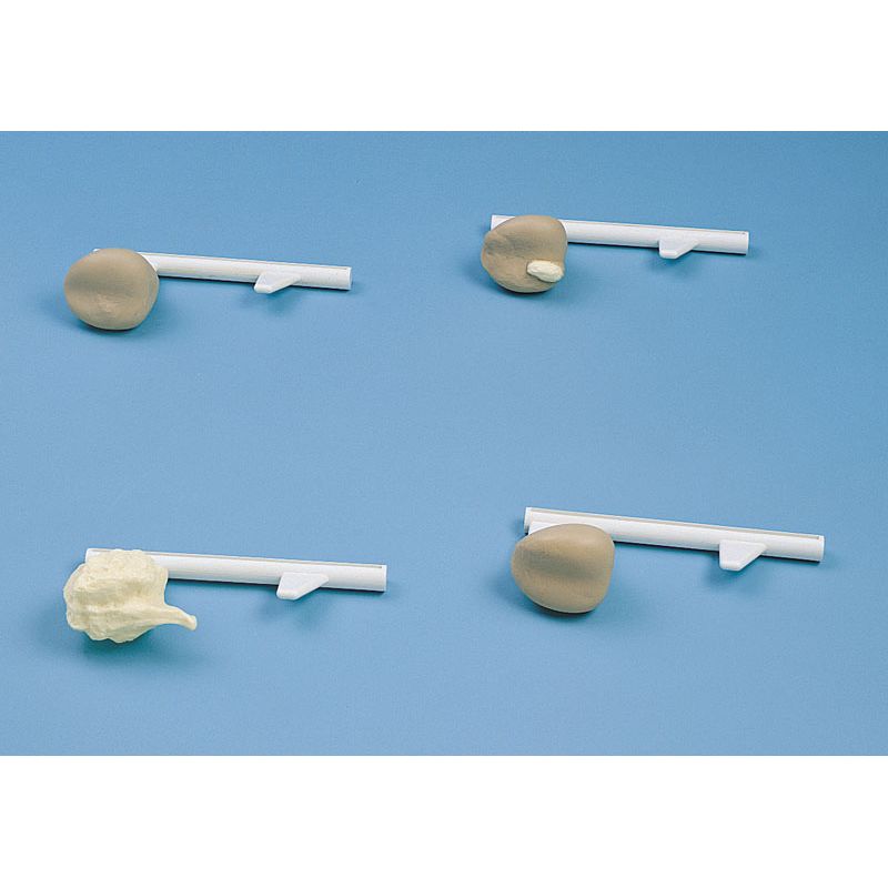 Prostate Examination Simulator - MedicalSupplies.co.uk
