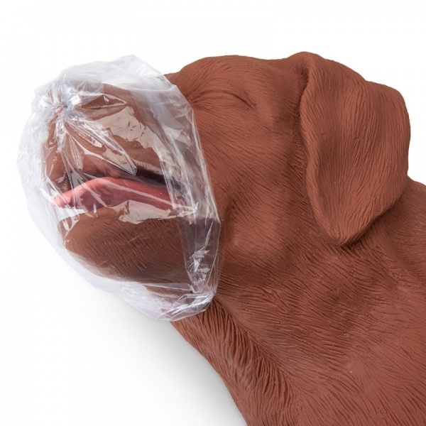 Simulaids Casper CPR Dog Manikin - MedicalSupplies.co.uk