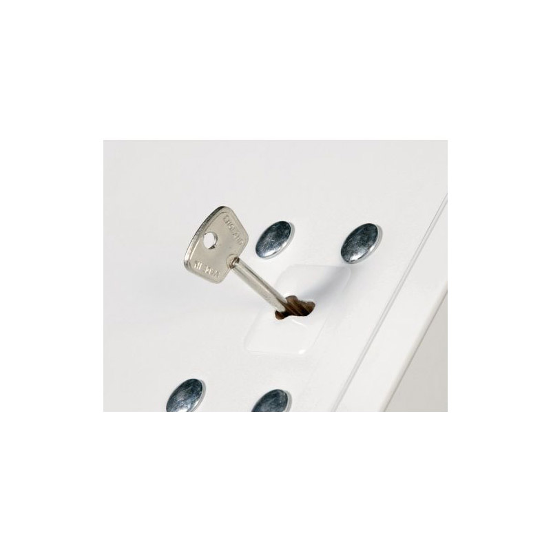 Additional Keyed To Differ Door Key for the Sunflower Medical Ward Drug ...
