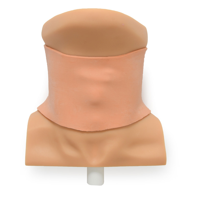 Erler-Zimmer Cricothyrotomy Task Trainer - MedicalSupplies.co.uk