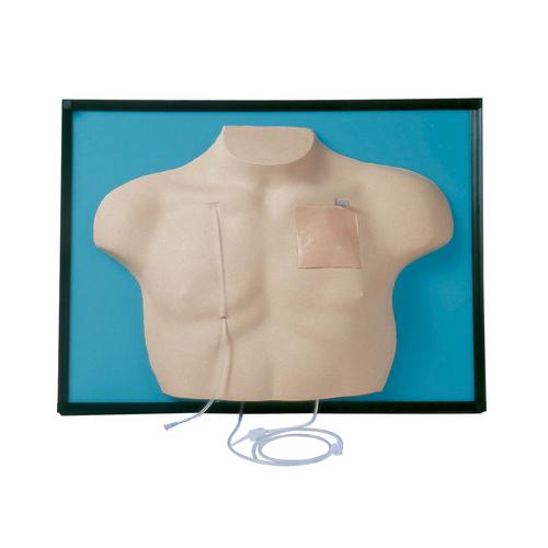 Deluxe Venous Access Device Model - MedicalSupplies.co.uk