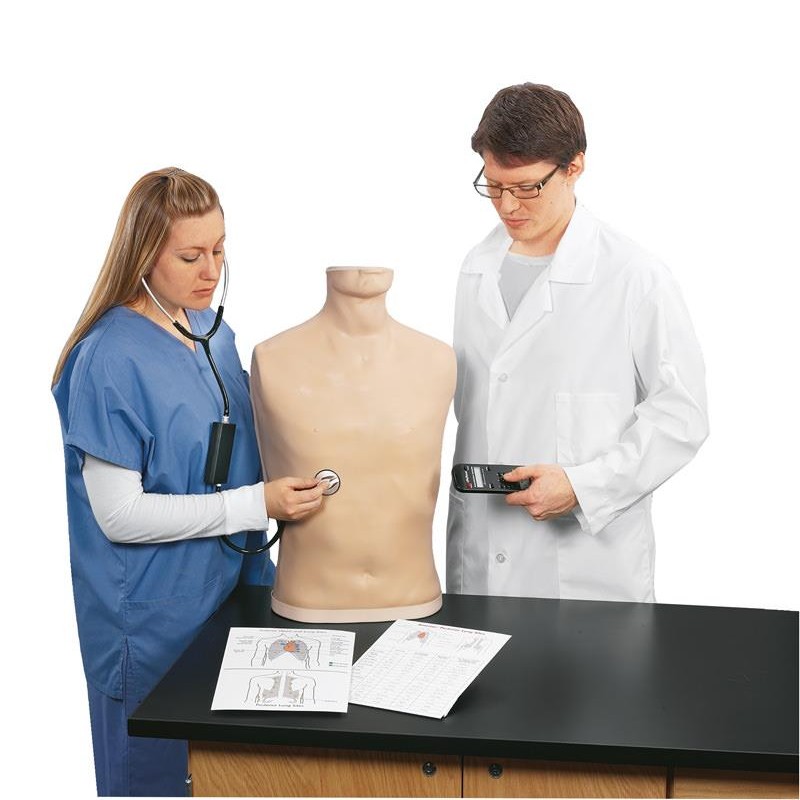 Erler-Zimmer Auscultation Simulator - MedicalSupplies.co.uk