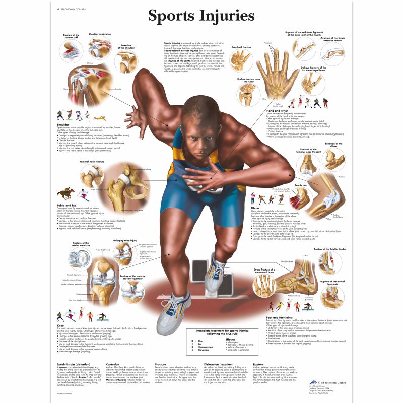 Sports Injuries Chart MedicalSupplies co uk