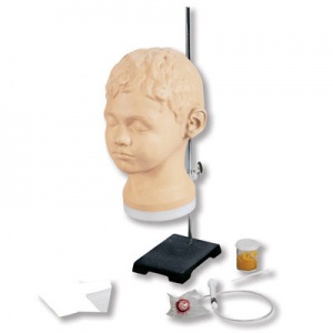 Life/Form Diagnostic and Procedural Ear Trainer - MedicalSupplies.co.uk