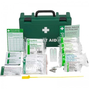 Wall Mounted HSE Workplace Kit (Small) - MedicalSupplies.co.uk