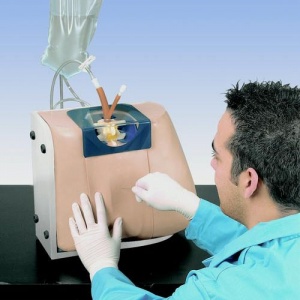 Spinal Injection Simulator - MedicalSupplies.co.uk